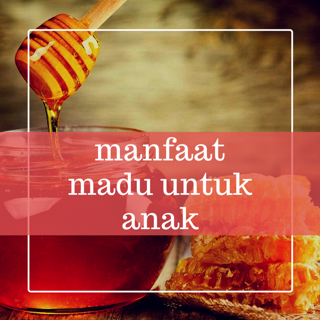 Pilihan Madu Penambah Nafsu Makan Anak yang Bagus - Madu Antariksa